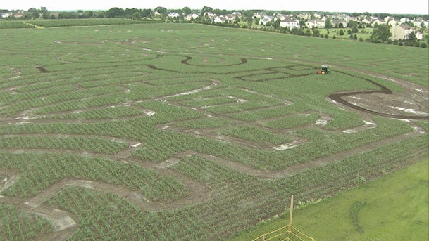 Corn mazes