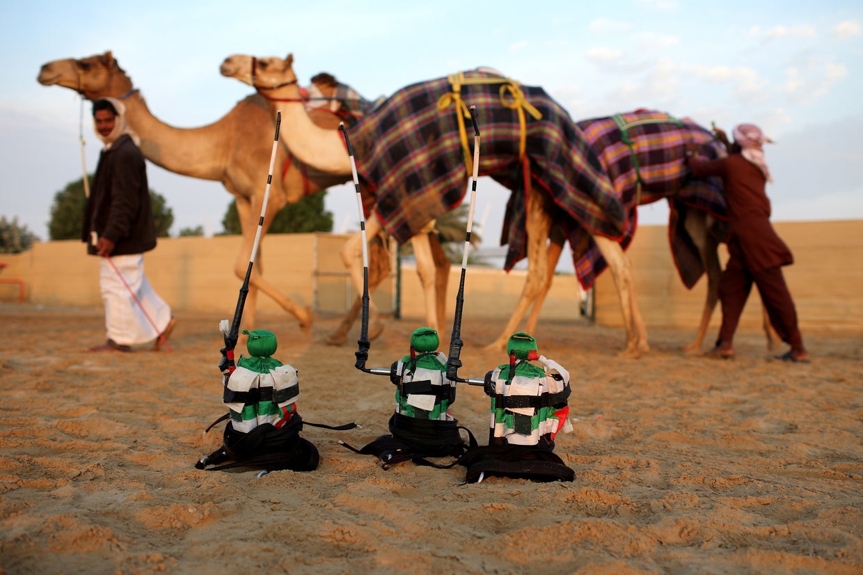 Camel racing in Dubai