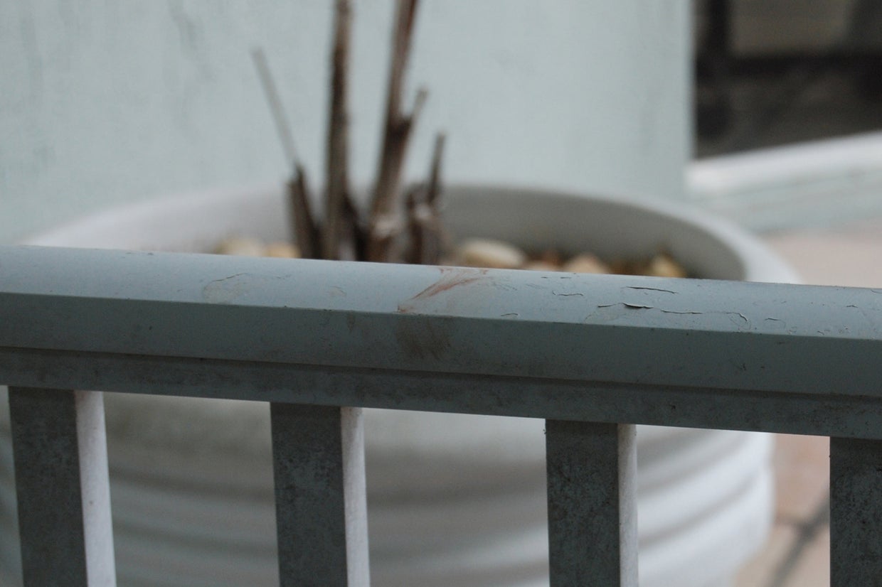 The Lanny Horwitz murder