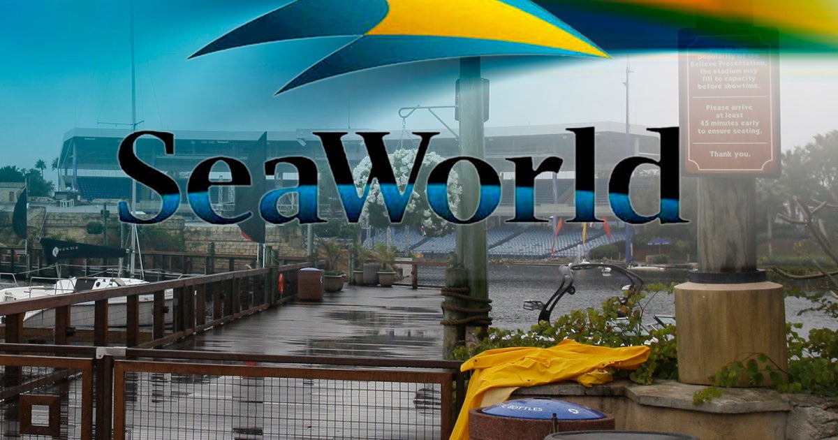 SeaWorld responds to petitions calling for musical performance ...