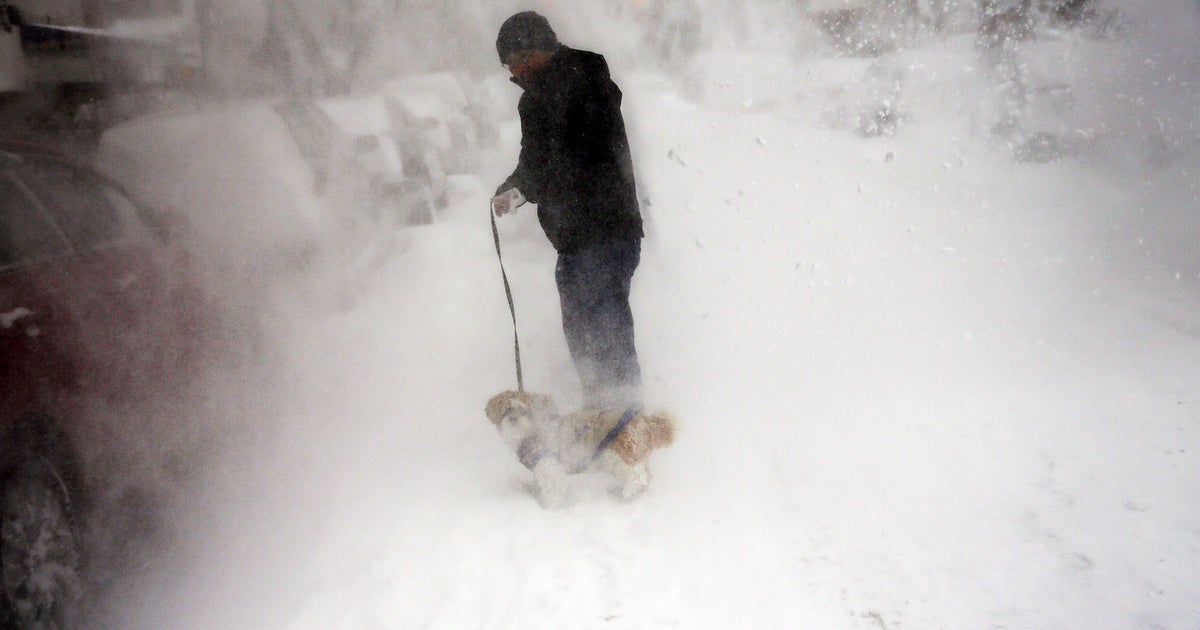 First major winter storm of 2014