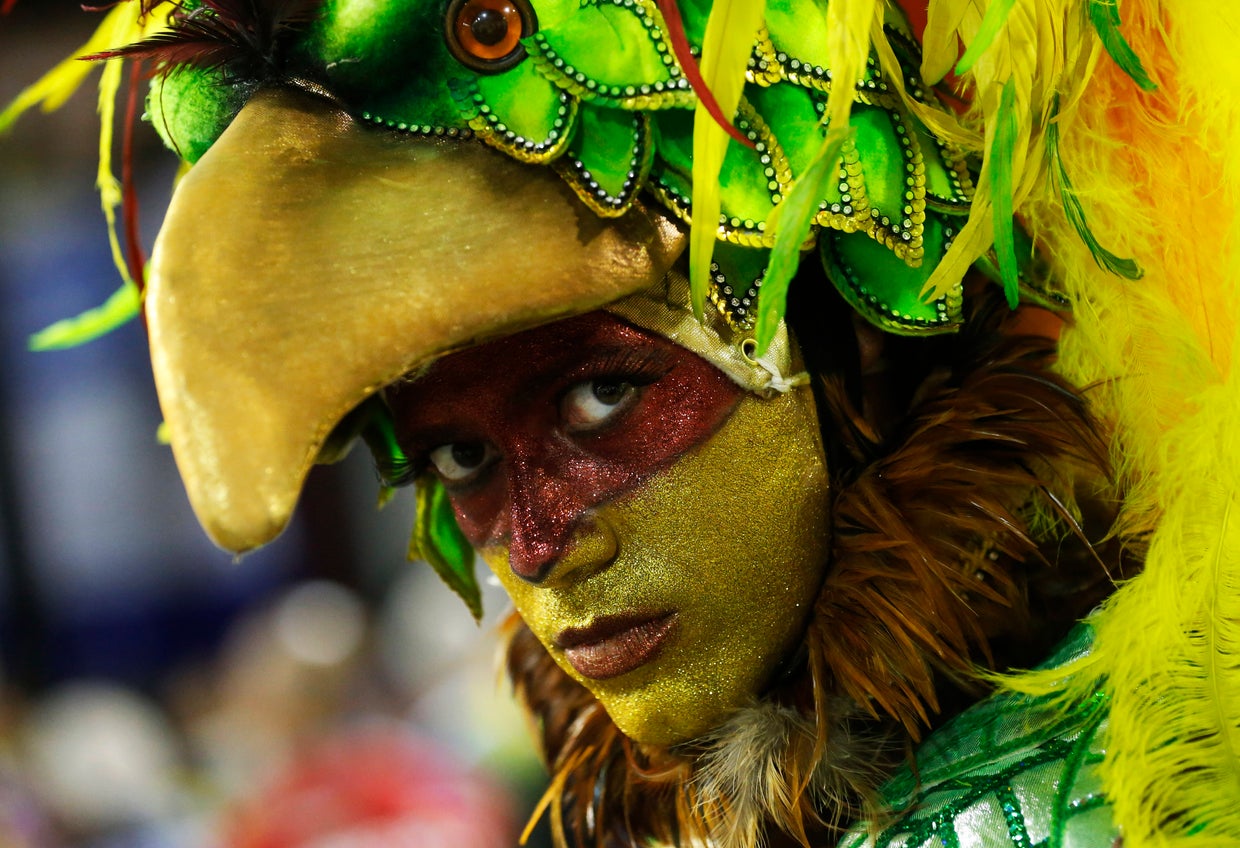 Brazil's Carnival celebrations 2014