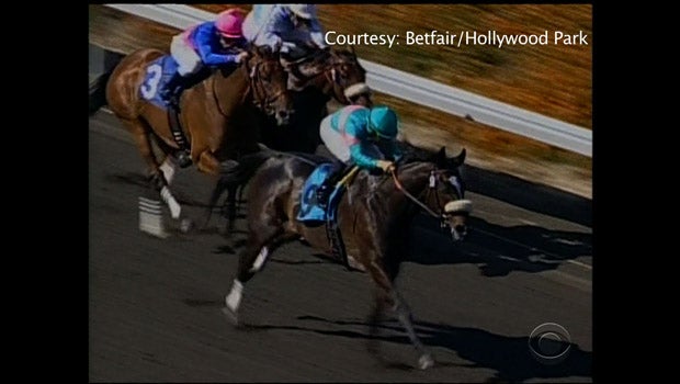 Fabled racehorse buried beneath one of country's best known race tracks ...