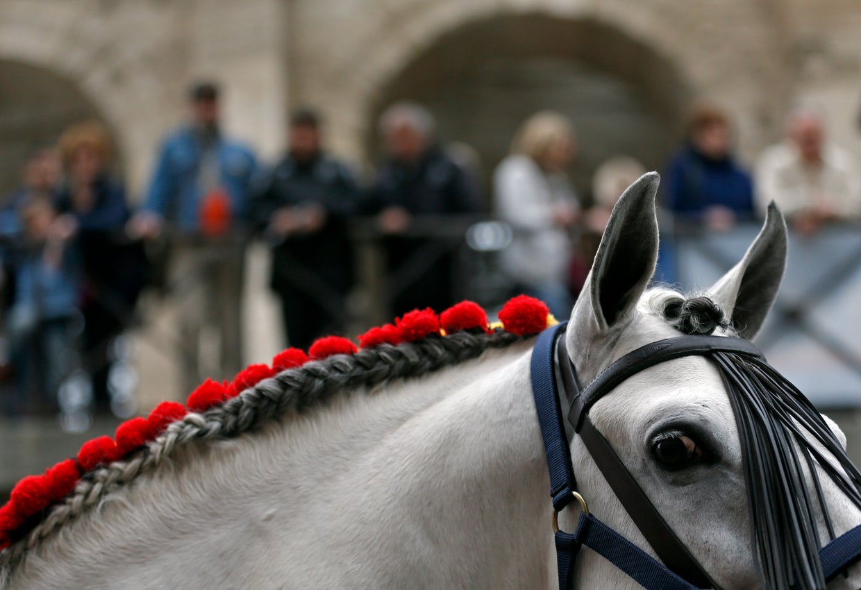 French bullfight season starts