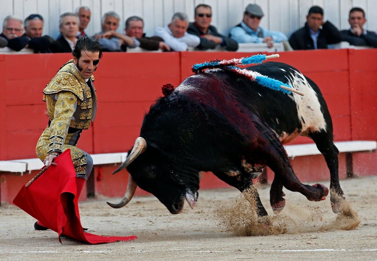 French bullfight season starts