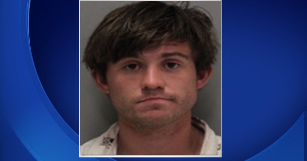 Cops: San Jose, California woman Daniela Alvarez crashed vehicle to ...