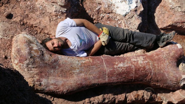 Scientists discover largest dinosaur ever to have walked the earth ...