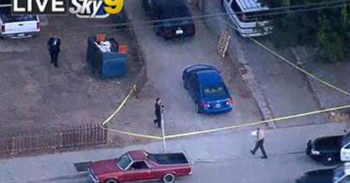 California mom Carol Coronado accused of killing 3 daughters; knives ...
