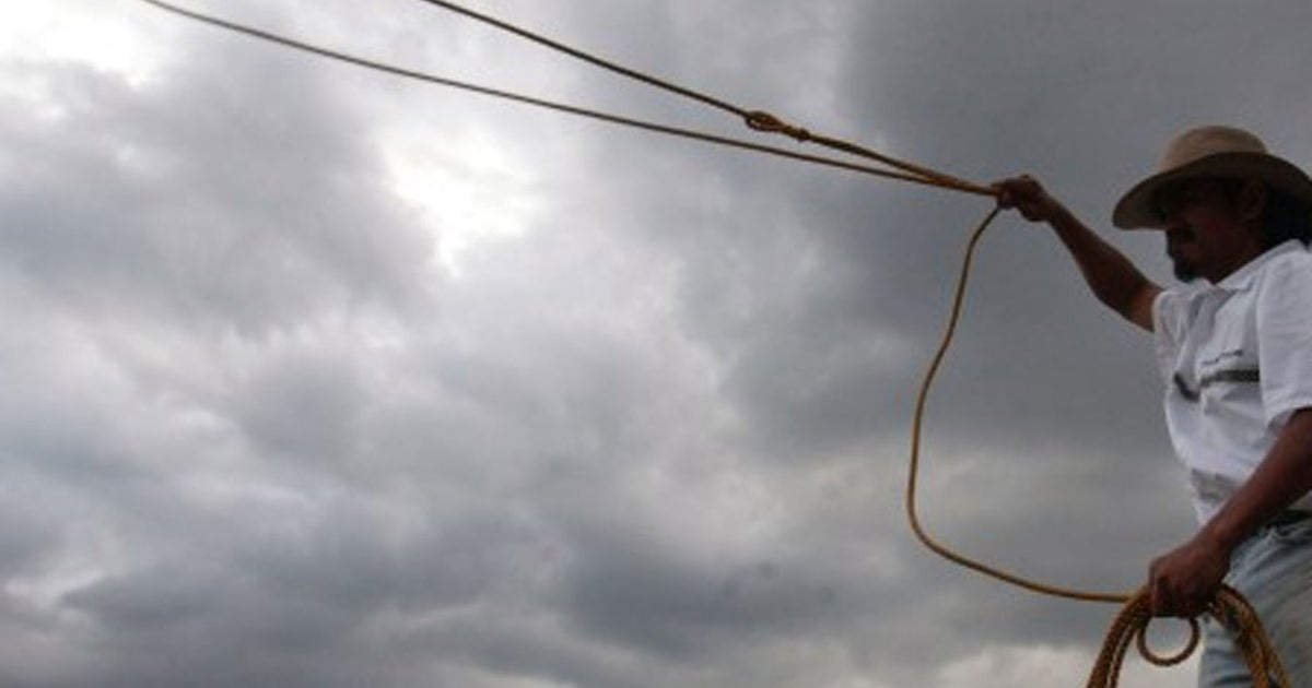 Cowboy lassoed drunken gunman at rodeo, say Bartow County, Georgia ...