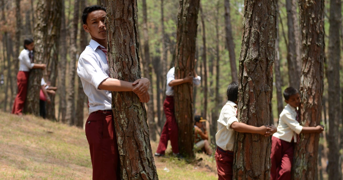 Thousands in Nepal try to set world record for largest tree hug - CBS News