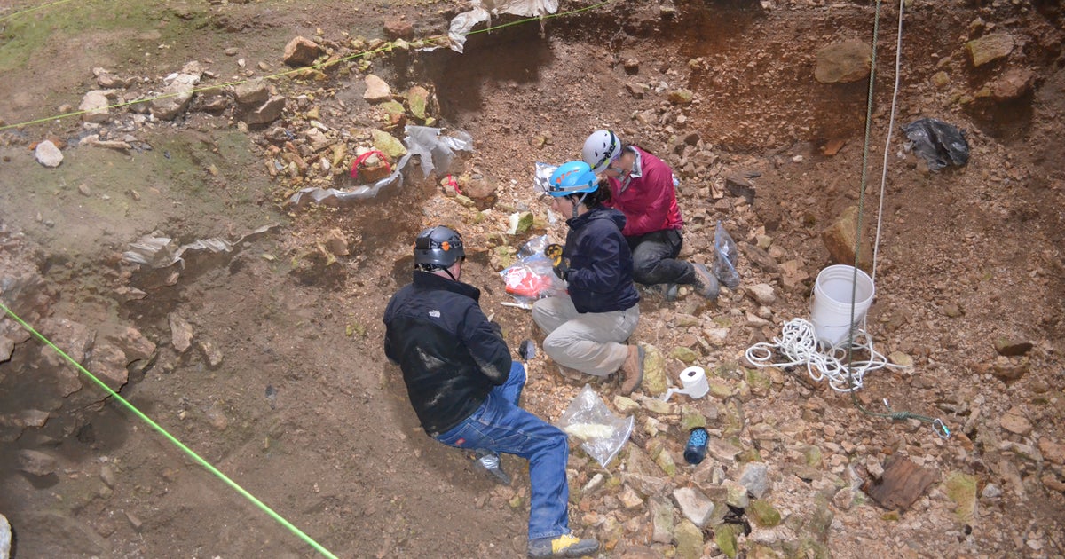 Digging for bones in Wyoming