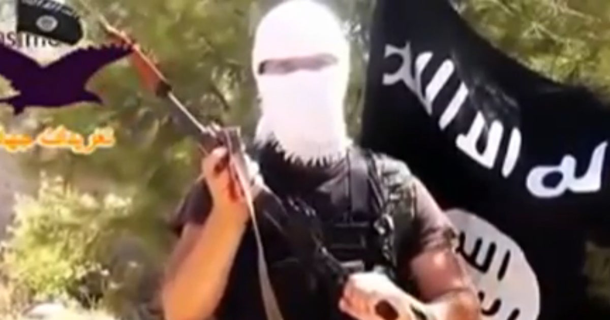 As ISIS rampages in Mideast, U.S. eyes potential for domestic threat ...