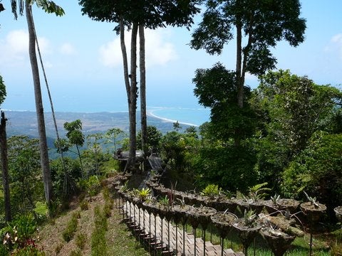 John and Ann Bender's life in paradise