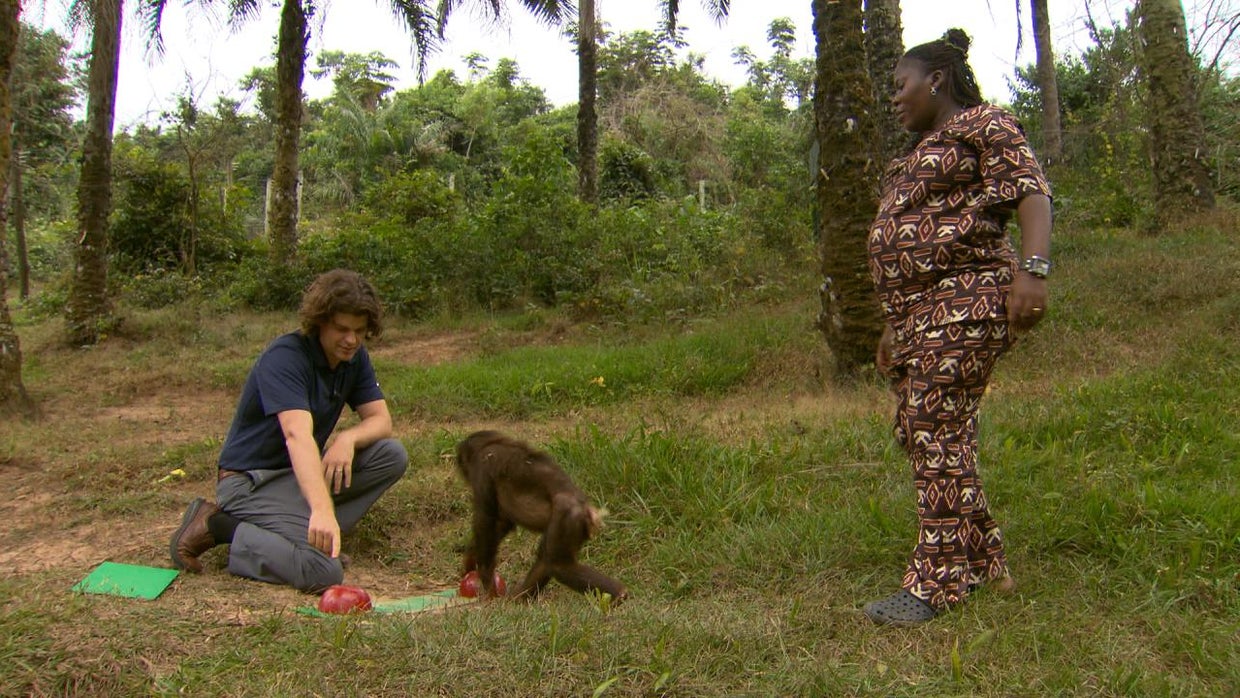 The smartest dog in the world - CBS News