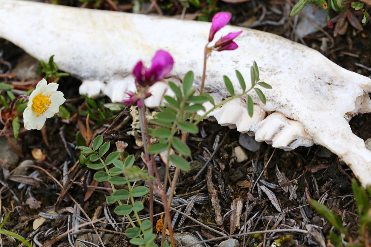 Gold Rush: The beauty of the Yukon