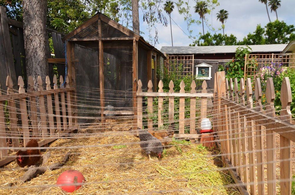 7 elaborate urban farms