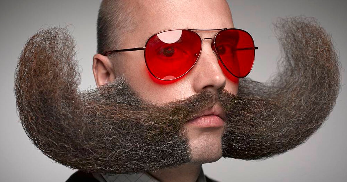 Masters of competitive bearding