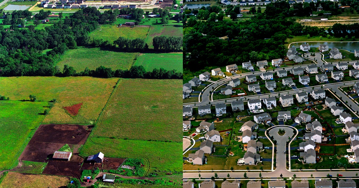 Scott Strazzante on finding "Common Ground" - CBS News