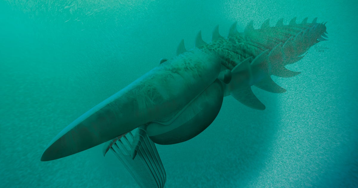 7-foot-long prehistoric lobster surprises scientists - CBS News