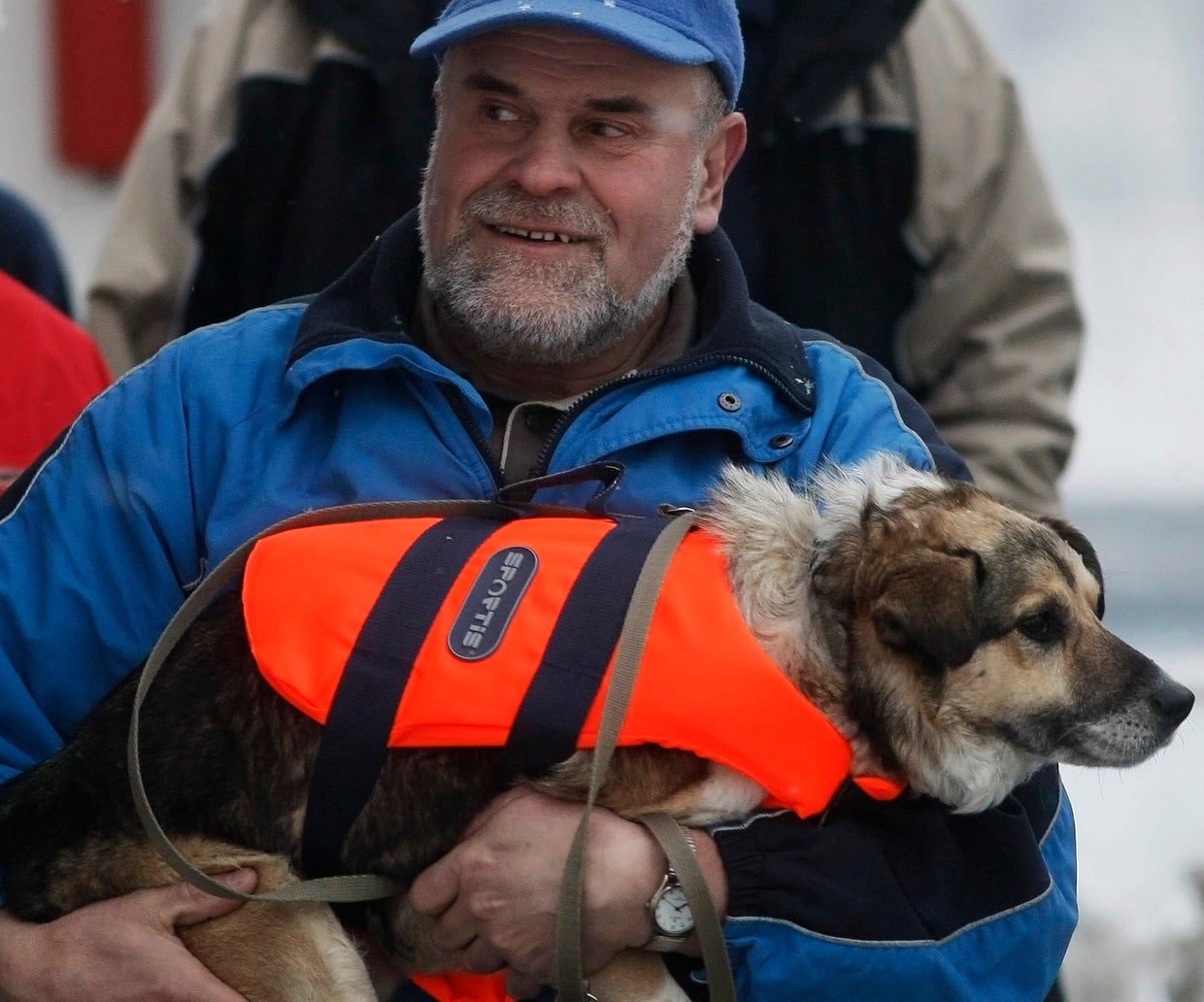 Scrappy animals who beat the odds