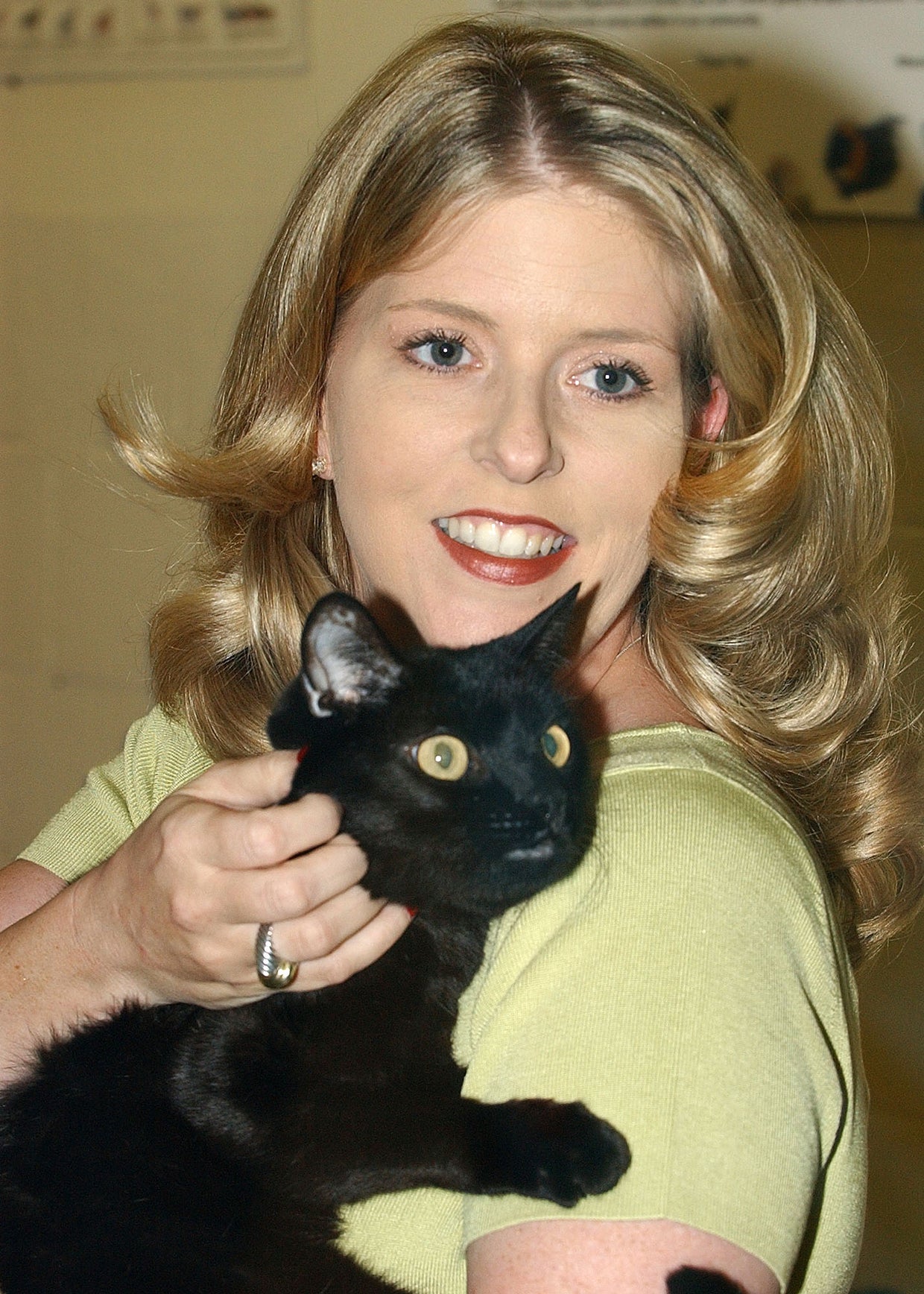 Scrappy animals who beat the odds