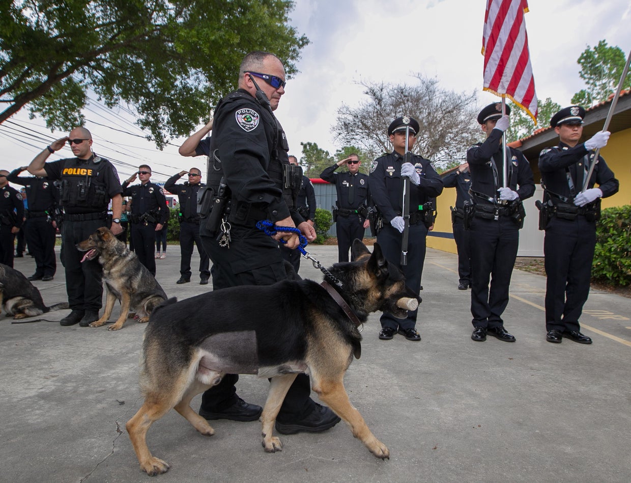 Police lay beloved K9 to rest in emotional ceremony - CBS News
