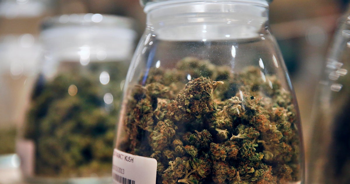 Marijuana dating app HighThere connects pot users where it's legal to ...