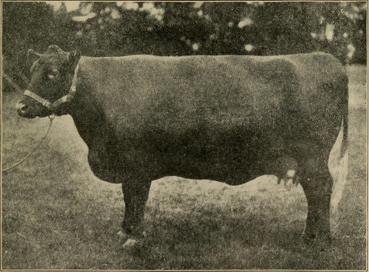 Medieval and ancient medicine we still use