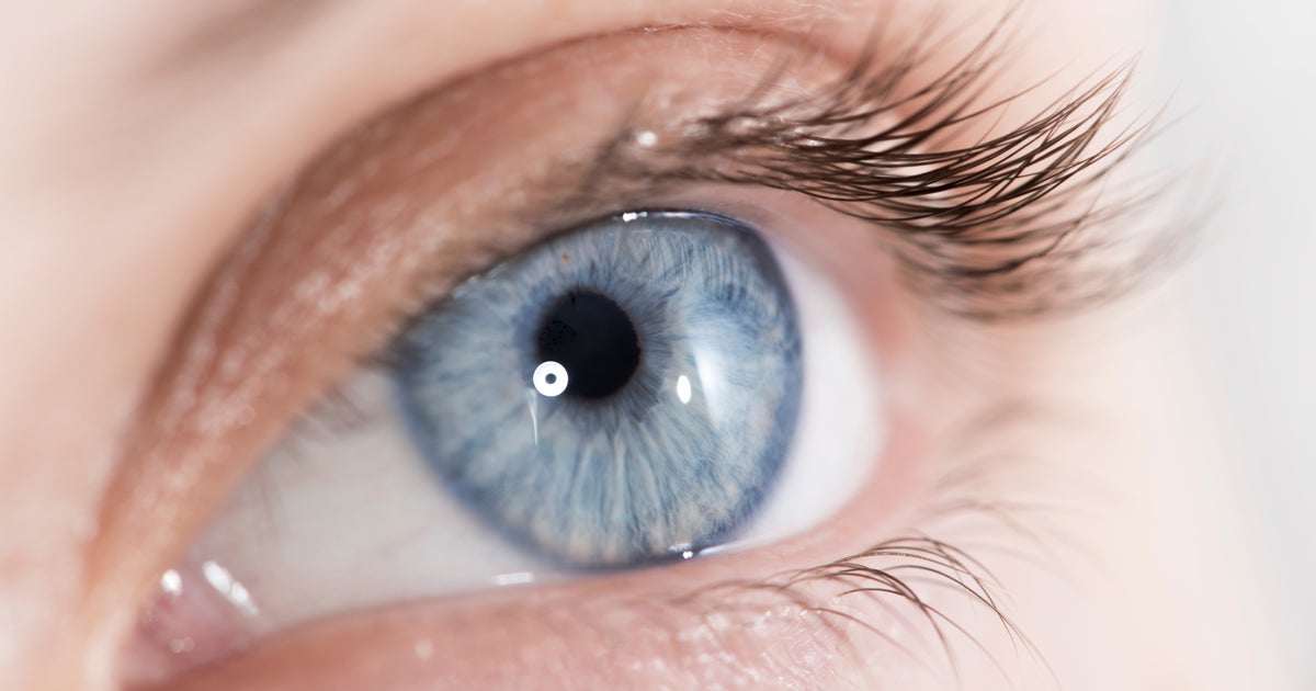 Feast your eyes: 8 nutrients to help protect your sight