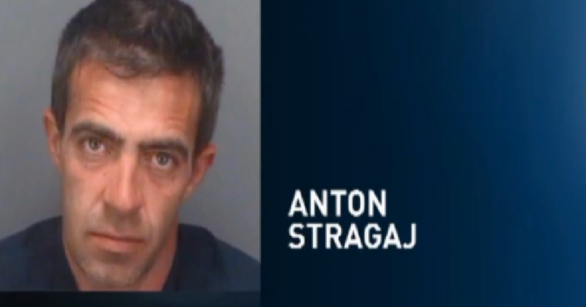 Man arrested in connection with death of Florida doctor Steven Schwartz ...