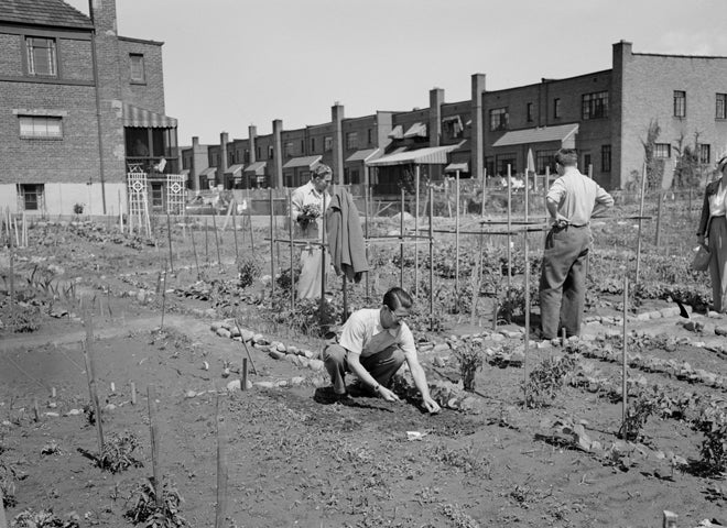 Propaganda art for WWII Victory Gardens