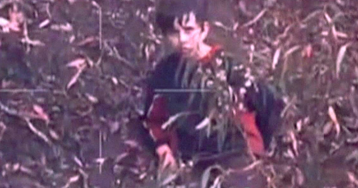 Australia police find autistic boy Luke Shambrook, 11, after 4 nights ...