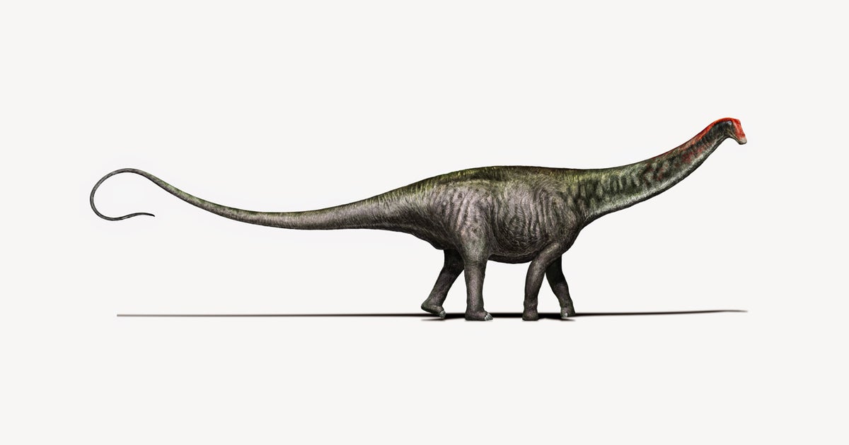 Brontosaurus is back - CBS News
