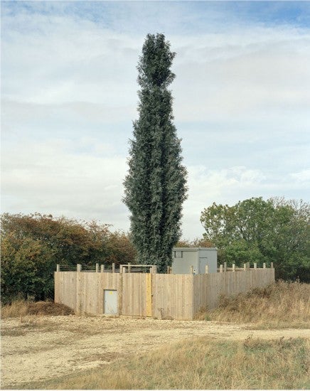 Photographer Robert Voit's "New Trees" are really cell phone towers