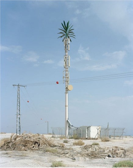Photographer Robert Voit's "New Trees" are really cell phone towers