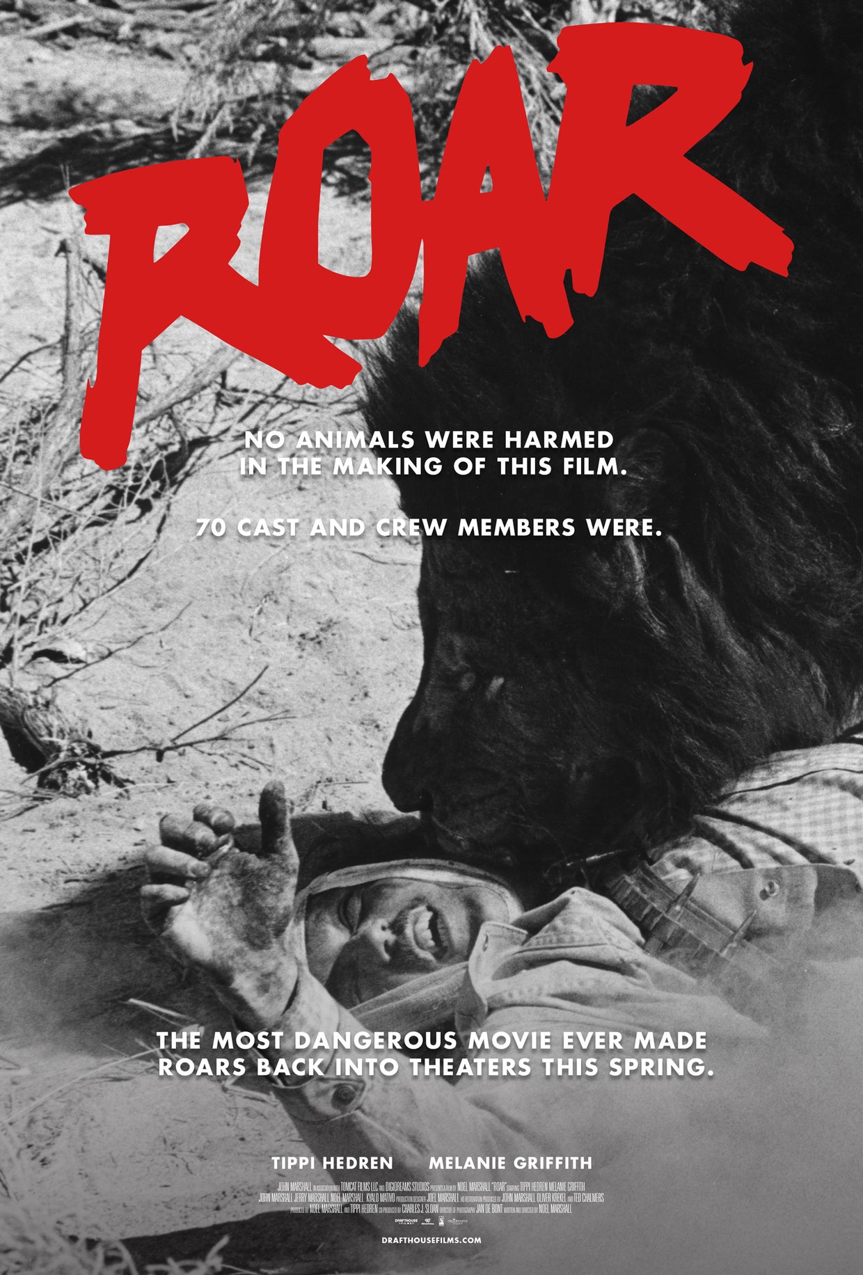 The most dangerous movies ever made