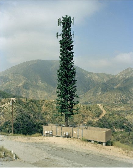 Photographer Robert Voit's "New Trees" are really cell phone towers