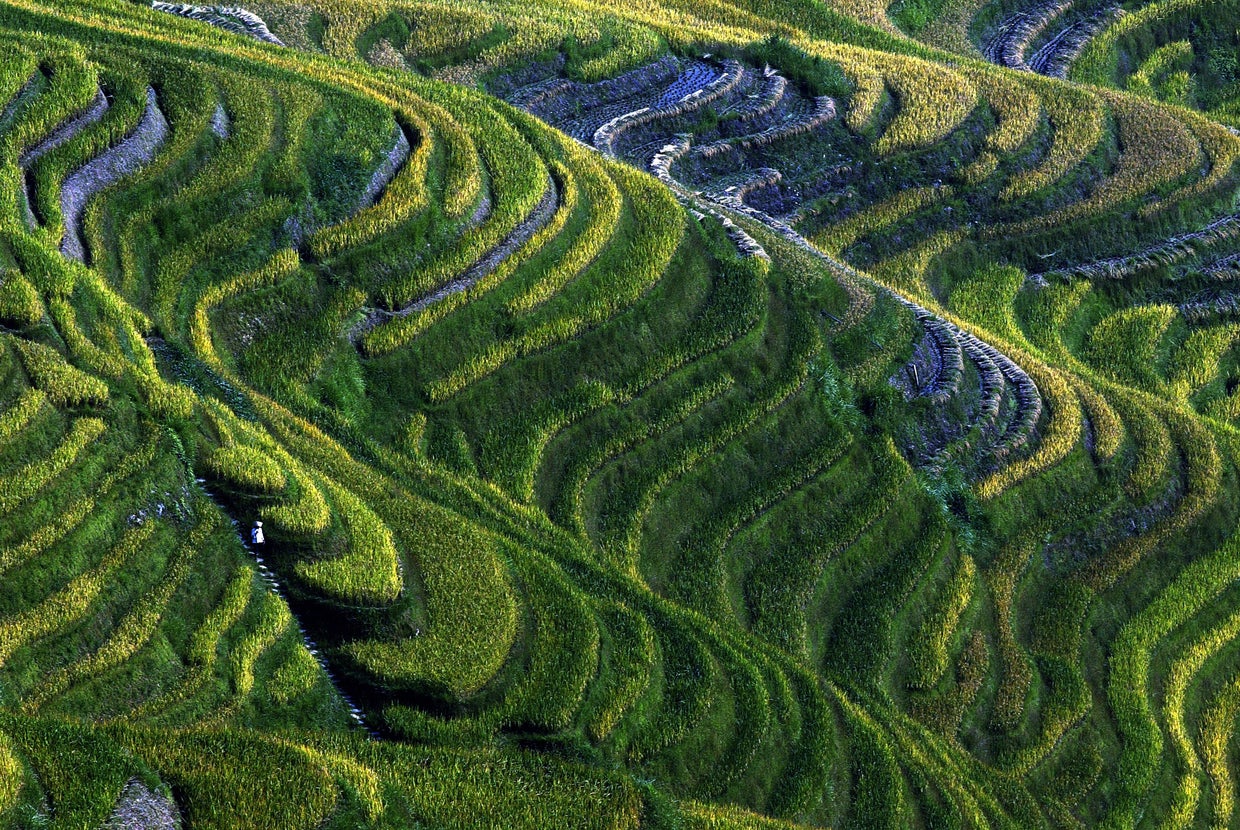 Earth: the original cool mom