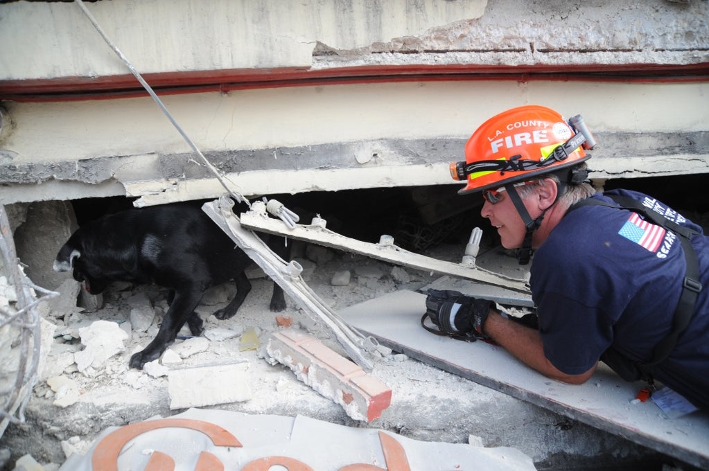 Sniffing out survivors: Dogs deploy after devastating Nepal earthquake