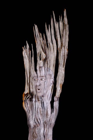 True still lifes: Masterworks of bodypainting