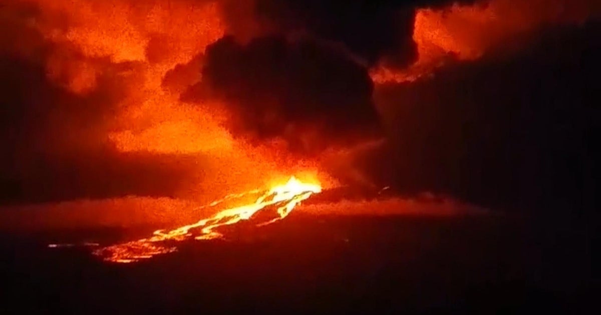 Volcano threatens Galapagos Islands ecosystem - CBS News