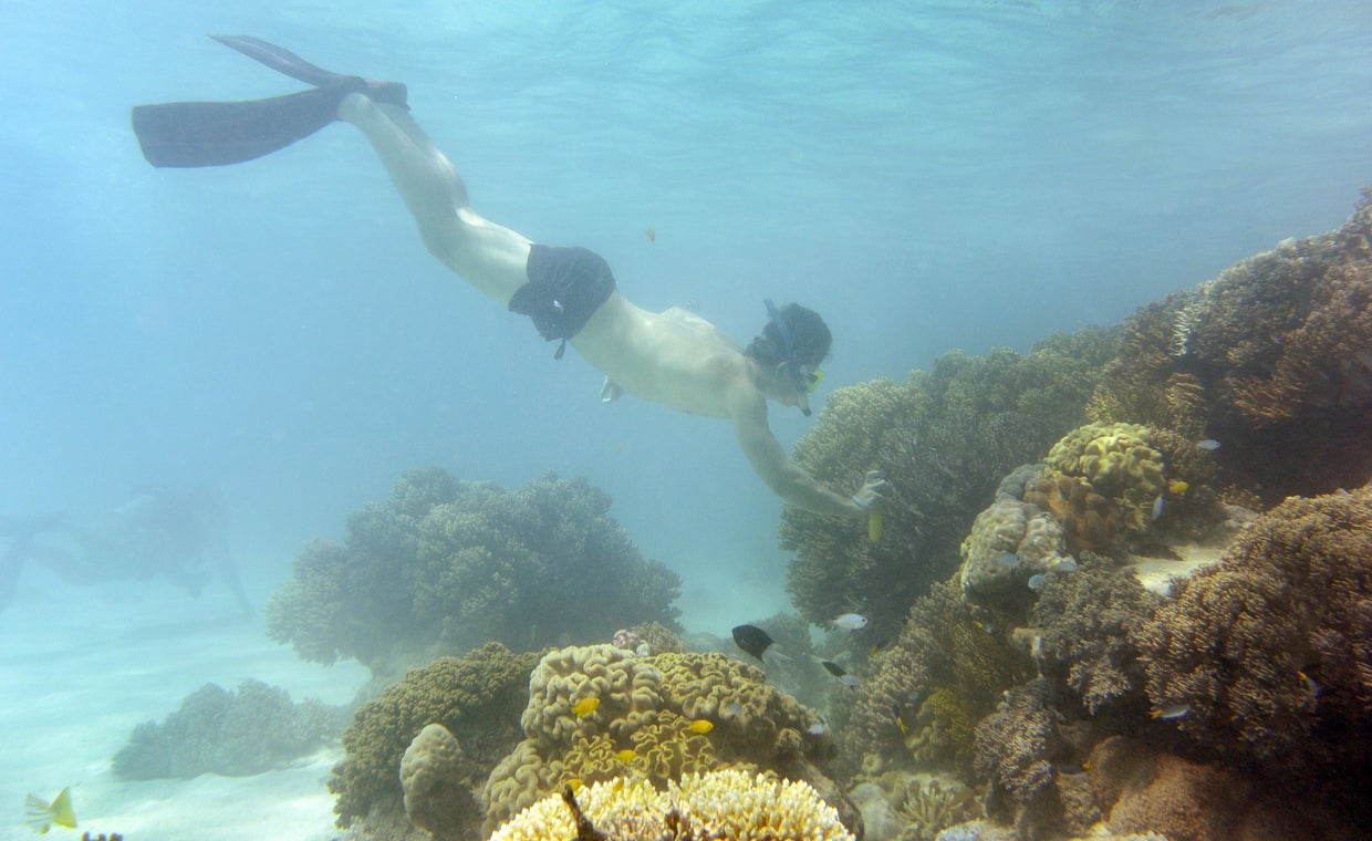 The deteriorating Great Barrier Reef