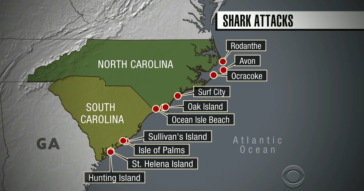 "Strange" spike in shark attacks puzzles experts - CBS News