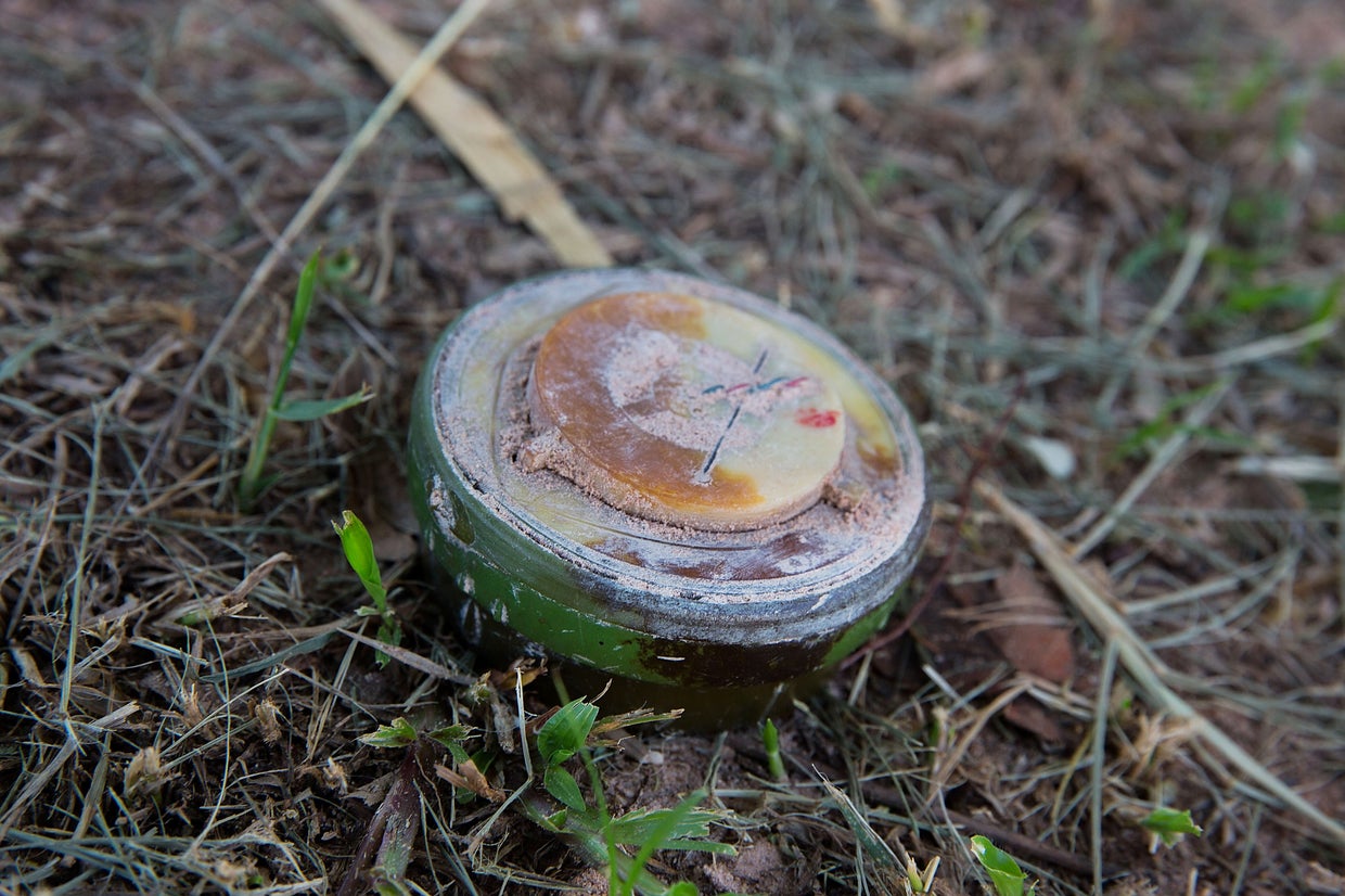 "HeroRATs" detect land mines and save lives