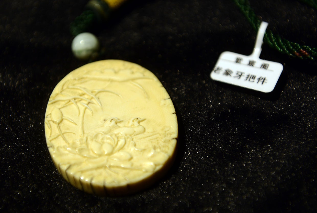 Proposed U.S. ban on ivory trade faces powerful foe - CBS News