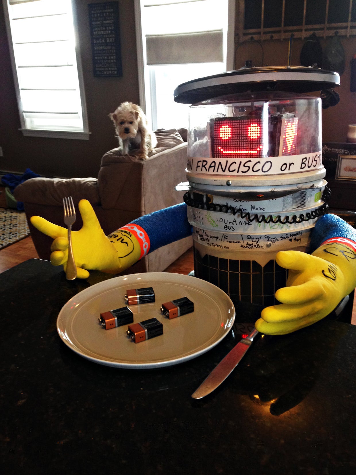 Life and times of the hitchhiking robot before his untimely demise