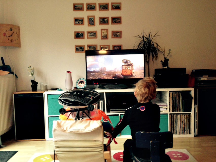 Life and times of the hitchhiking robot before his untimely demise