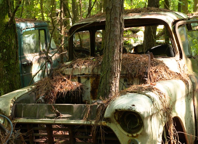 A museum of junked cars