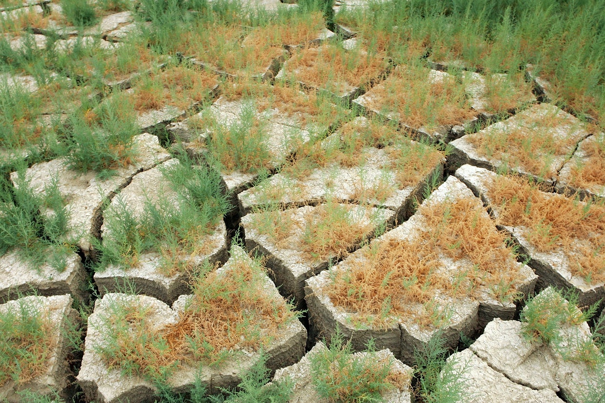 Stunning photos of climate change