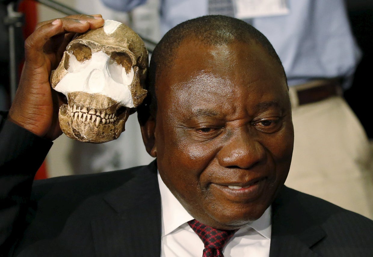New almost human relative - Homo naledi - discovered in South Africa